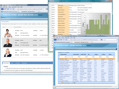 Syncfusion Essential Grid