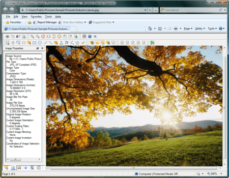 Prizm ActiveX Viewer
