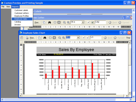 ActiveReports 2 for ActiveX/COM（英語版）