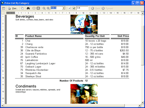 ActiveReports 2 for ActiveX/COM