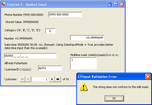 ComponentOne Input for WinForms（英語版）