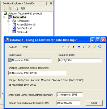 ComponentOne Input for WinForms（英語版）