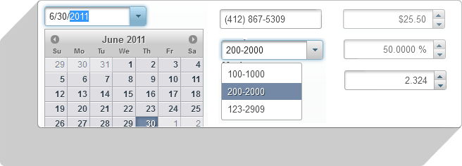 ComponentOne Studio ASP.NET Web Forms Edition