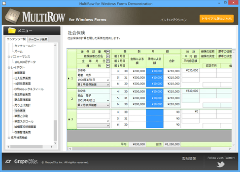 MultiRowPlus for Windows Forms（日本語版）