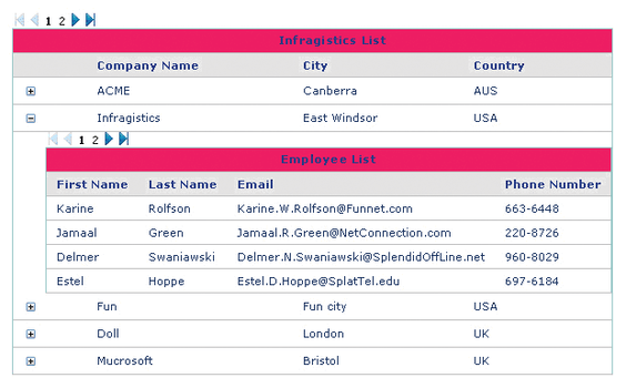Infragistics Netadvantage For Jsf