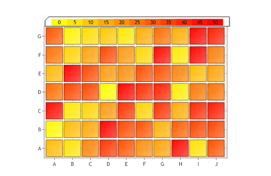 .netCHARTING（英語版）