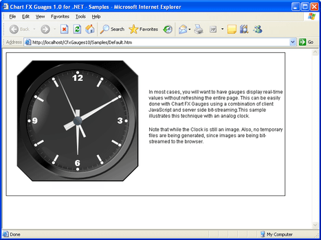 Chart FX Gauges for .NET （英語版）