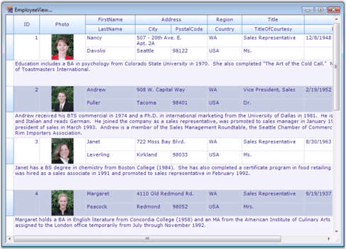 Syncfusion Essential Grid for Windows Forms