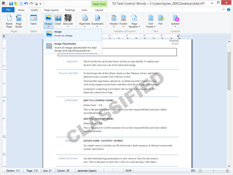 TX Text Control .NET for Windows Forms Professional