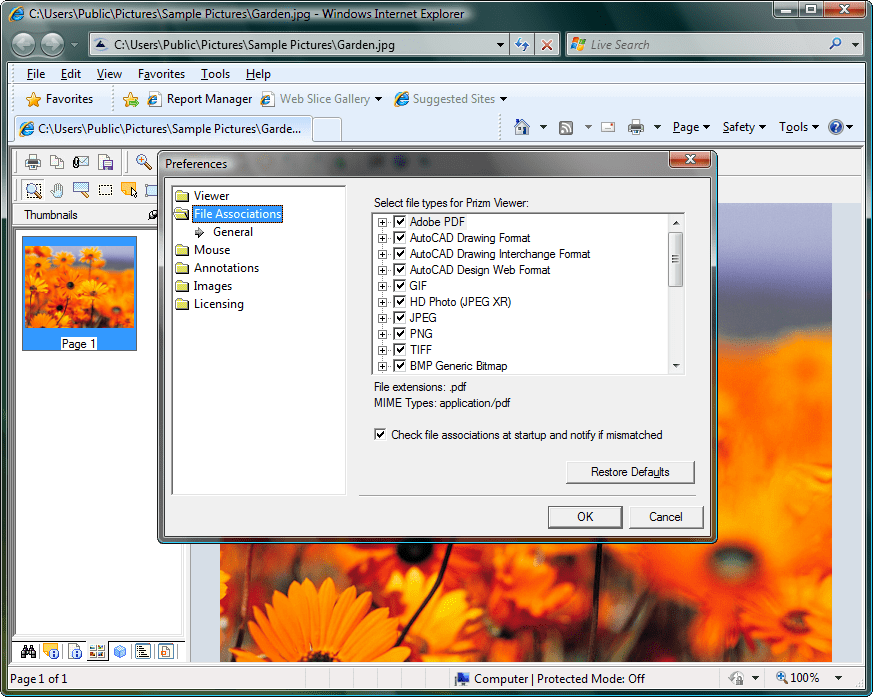 Prizm ActiveX Viewer