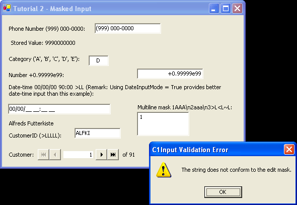 ComponentOne Input for WinForms（英語版）