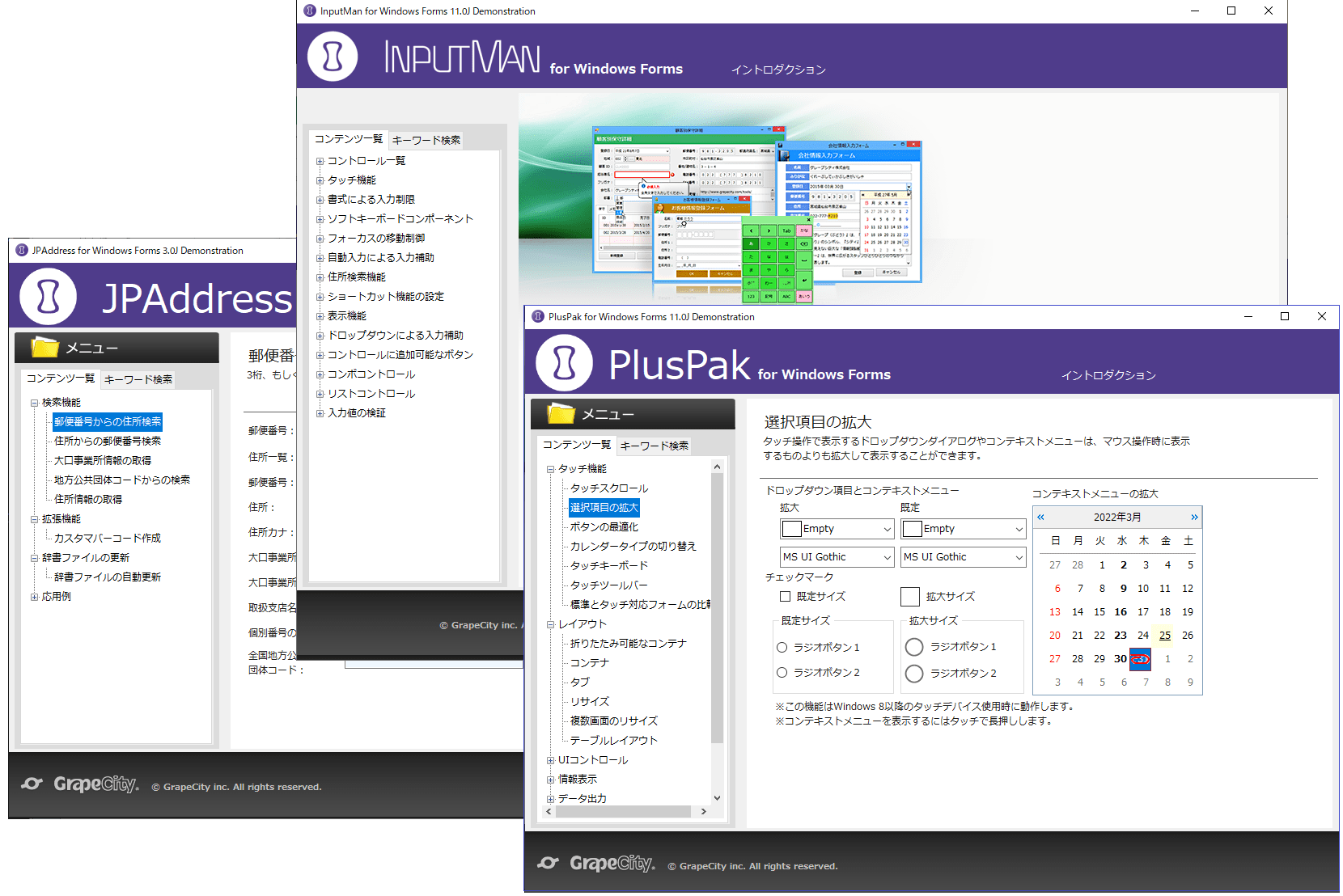 InputManPlus for Windows Forms（日本語版）