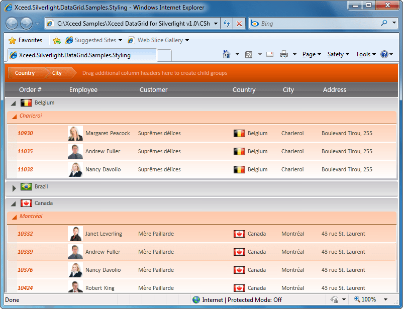 Xceed DataGrid for Silverlight （英語版）