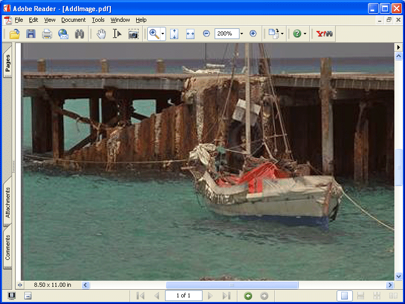 PDFXpress .NET Reader Edition