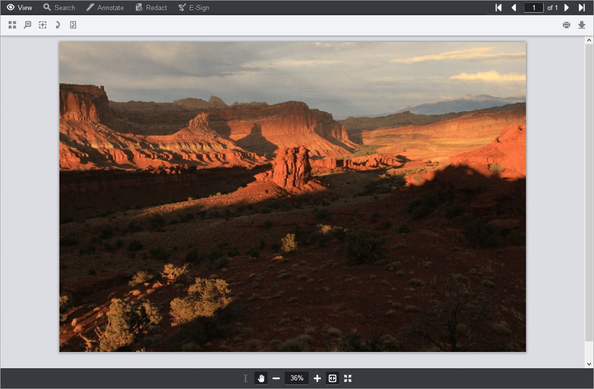 PrizmDoc Viewer の主な機能