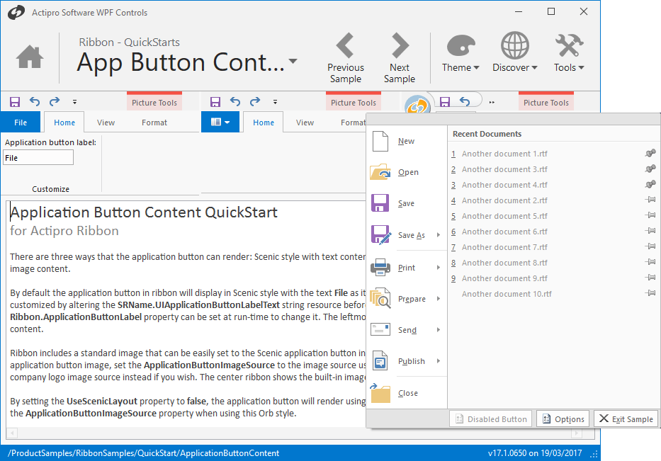 Actipro Ribbon For Wpf（英語版）