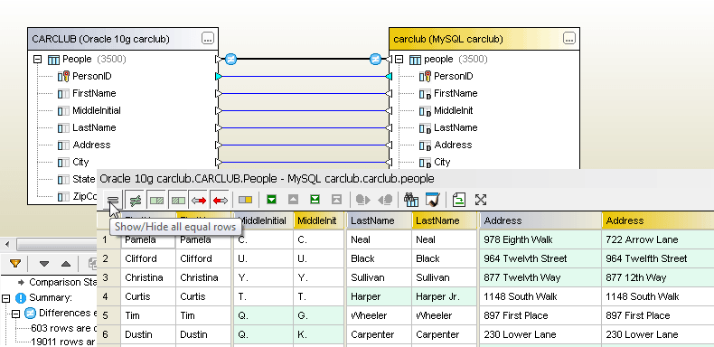 Altova DataBaseSpy Enterprise Edition（英語版+日本語版）