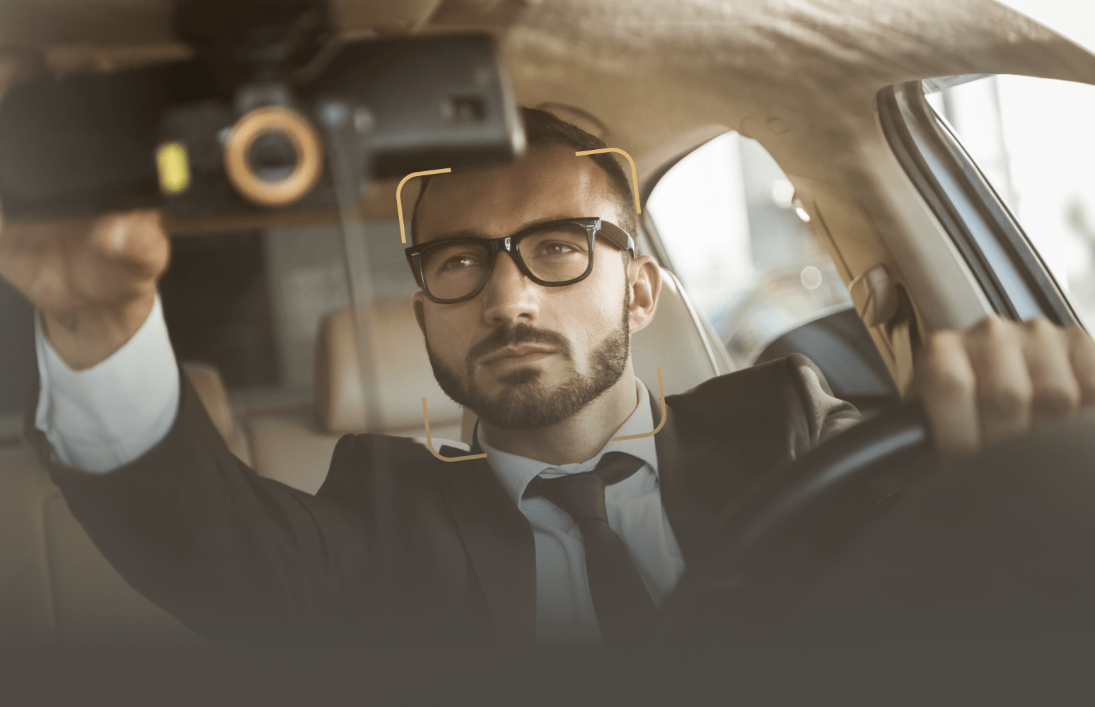 BioPass ID Multibiometrics API