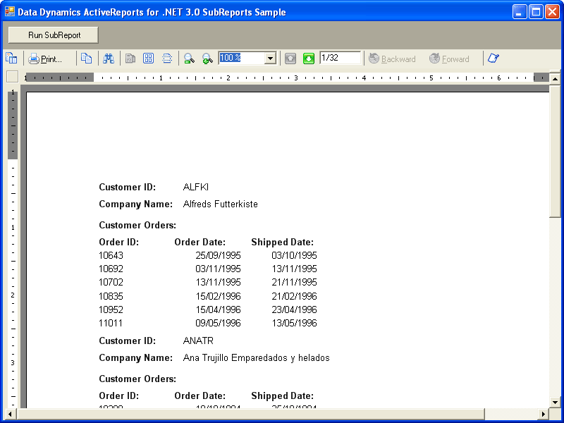 ActiveReports for .NET（英語版）