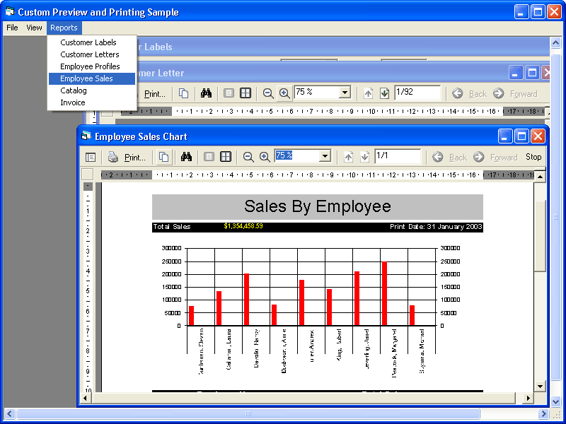 ActiveReports 2 for ActiveX/COM