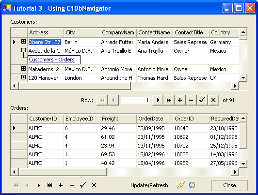 ComponentOne Input for WinForms（英語版）