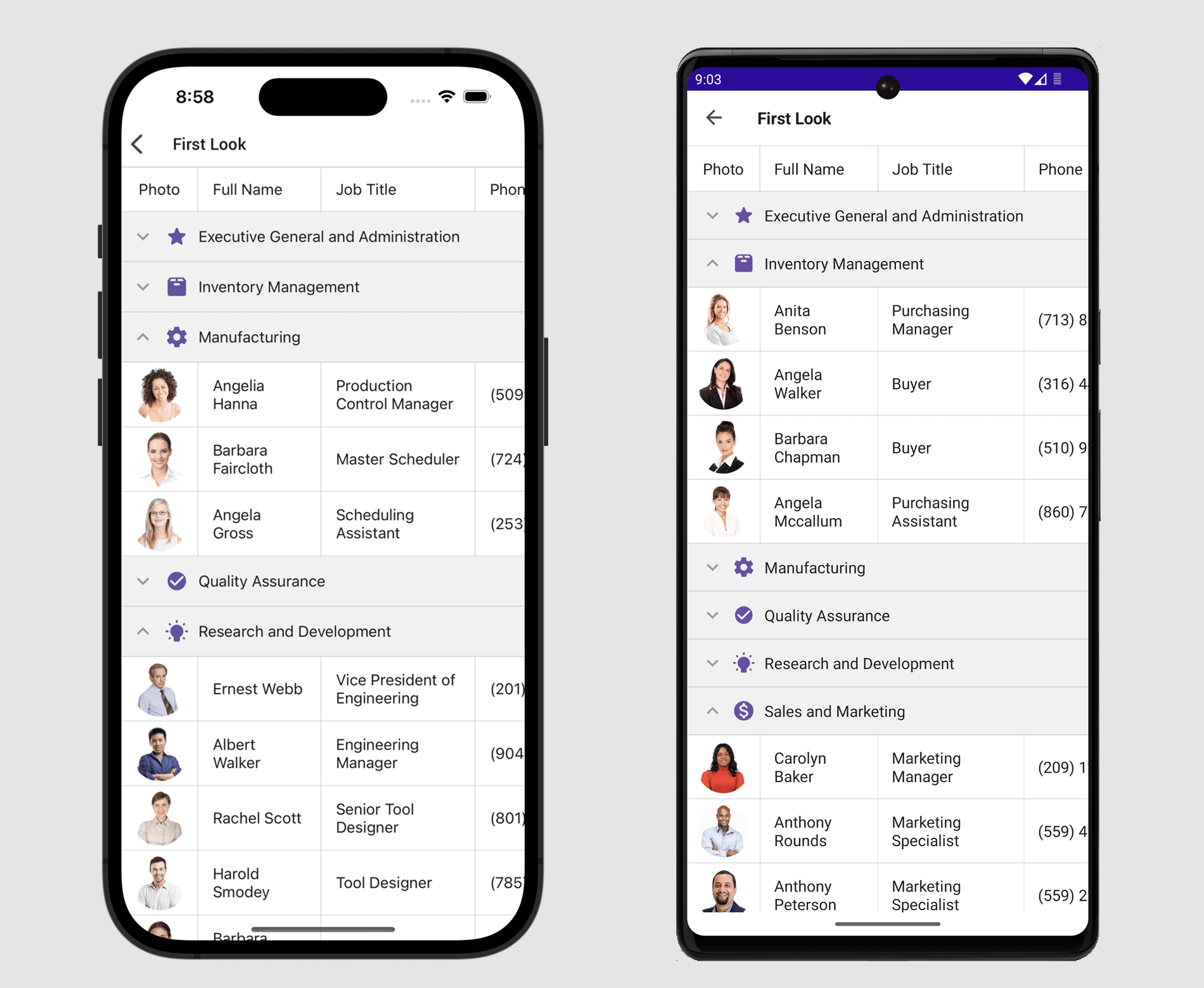 DevExpress .NET MAUI