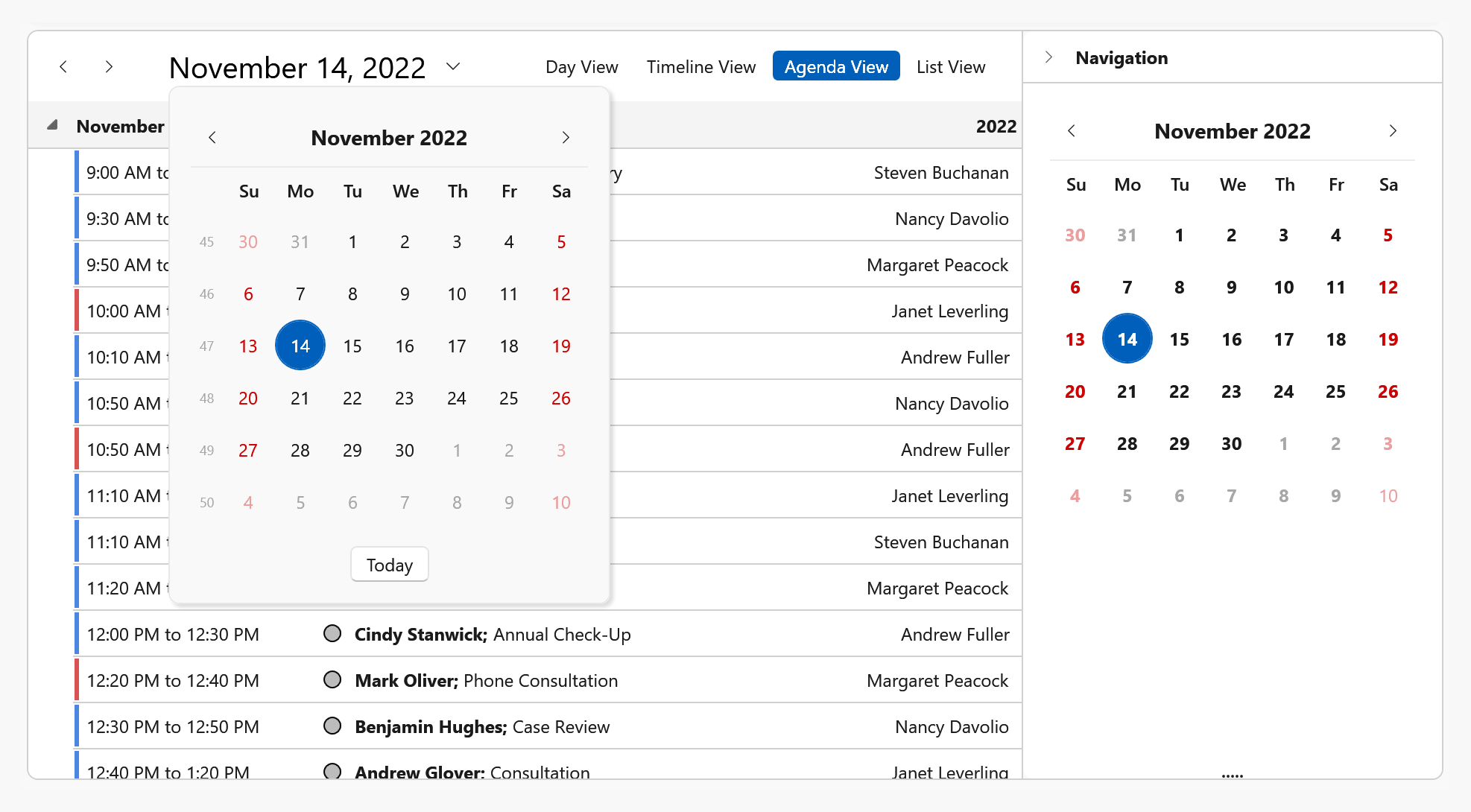 Devexpress Wpf（英語版）