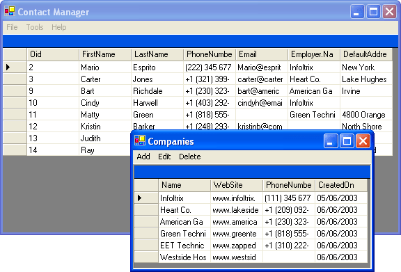 eXpress Persistent Objects for .NET (XPO) （英語版）