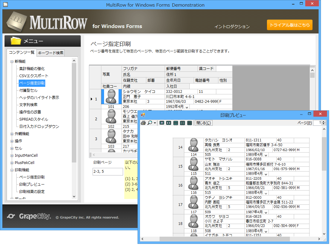 MultiRowPlus for Windows Forms（日本語版）