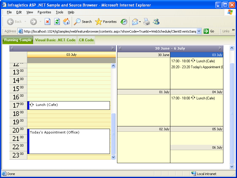 Infragistics NetAdvantage for Web Client