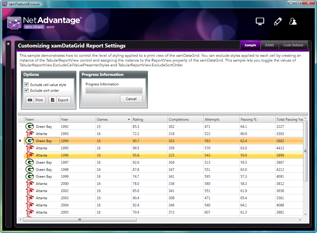 Infragistics WPF Reporting