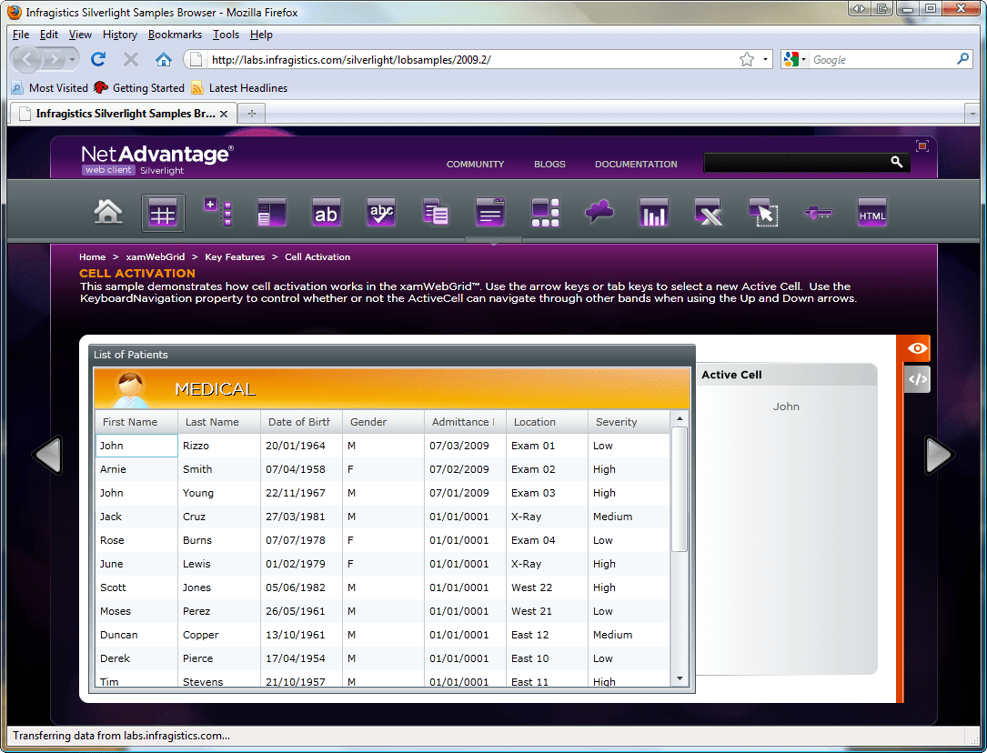NetAdvantage for Silverlight Line of Business（英語版）