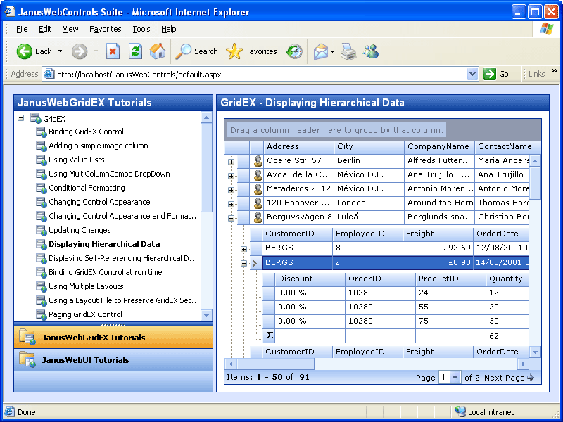 Janus Web ASP.NET Server Controls Suite Janus Web ASP.NET Server Controls Suite