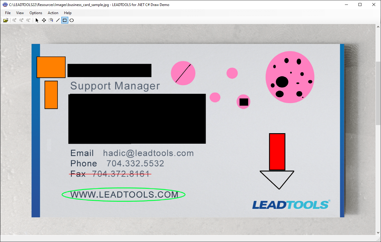 Leadtools Imaging Pro Sdk （英語版）