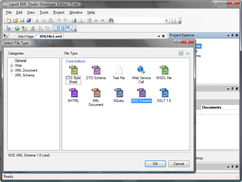 Liquid XML Studio Developer Pro（英語版）