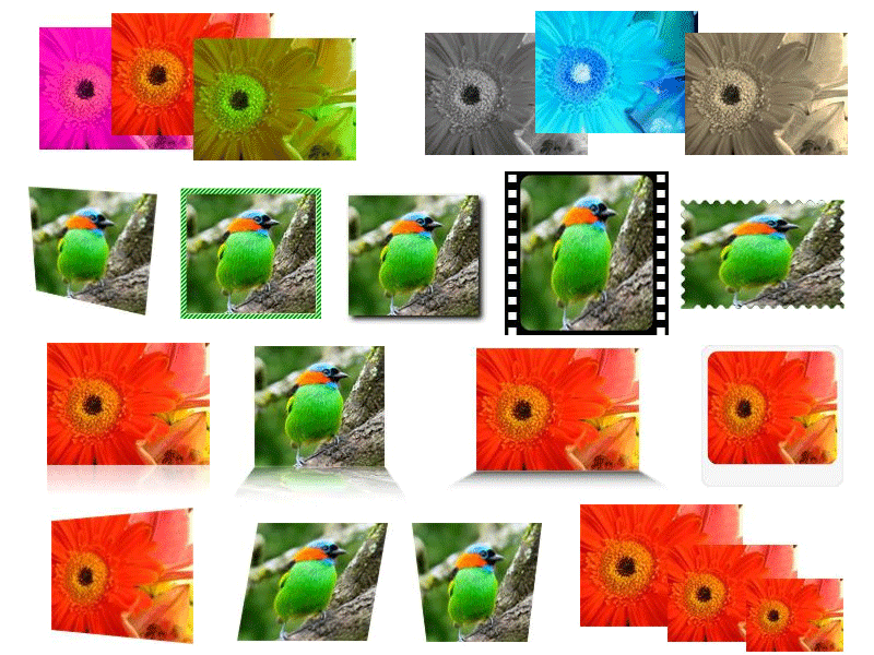 Neodynamic ImageDraw SDK for .NET（英語版）