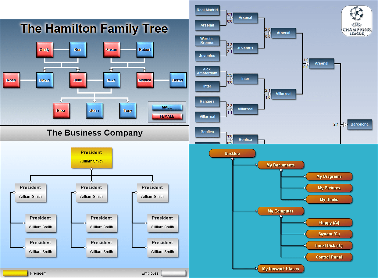 Nevron Diagram for .NET（英語版）