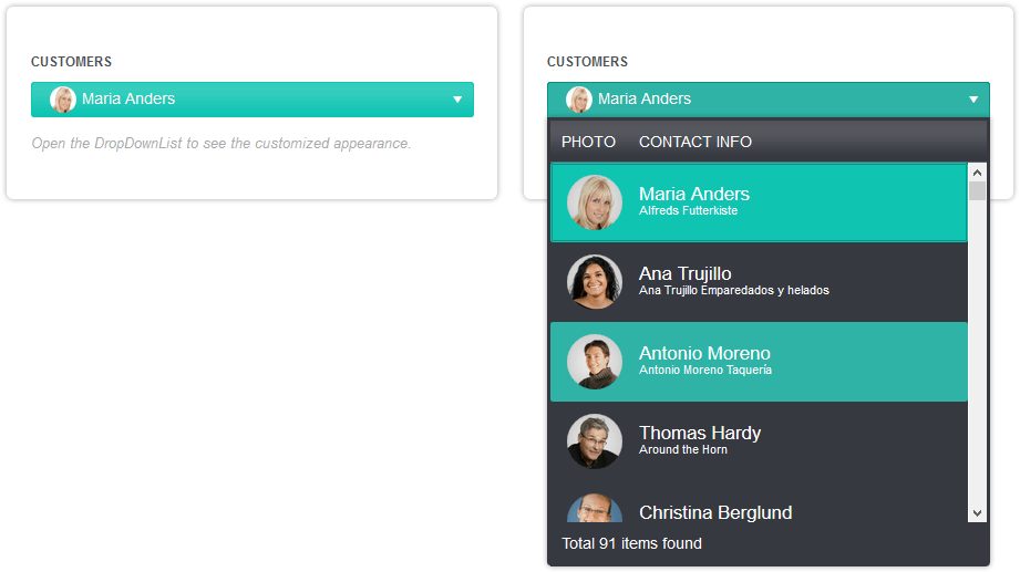 Kendo UI + Telerik UI for JSP
