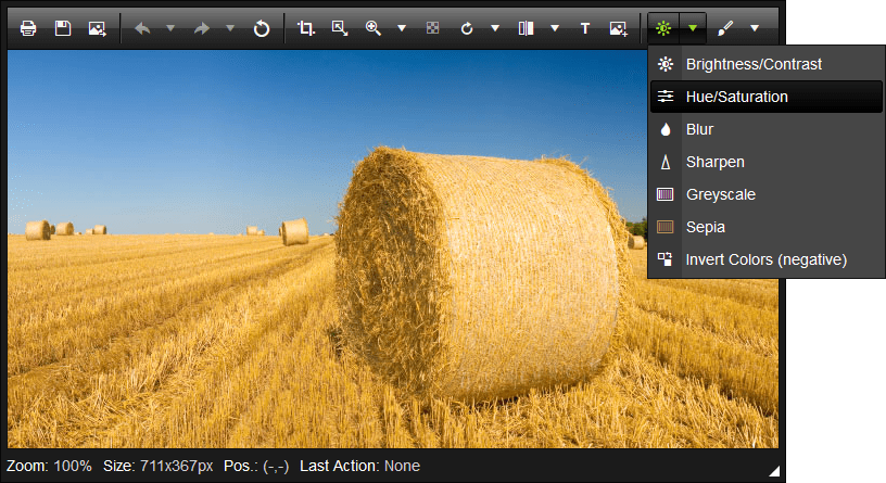 Telerik UI for ASP.NET AJAX