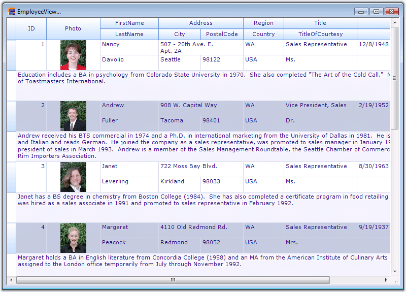 Syncfusion Essential Grid For Windows Forms (英語版)