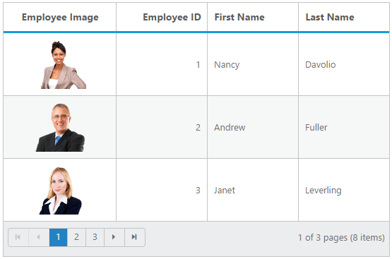 Syncfusion Essential Studio ASP.NET MVC