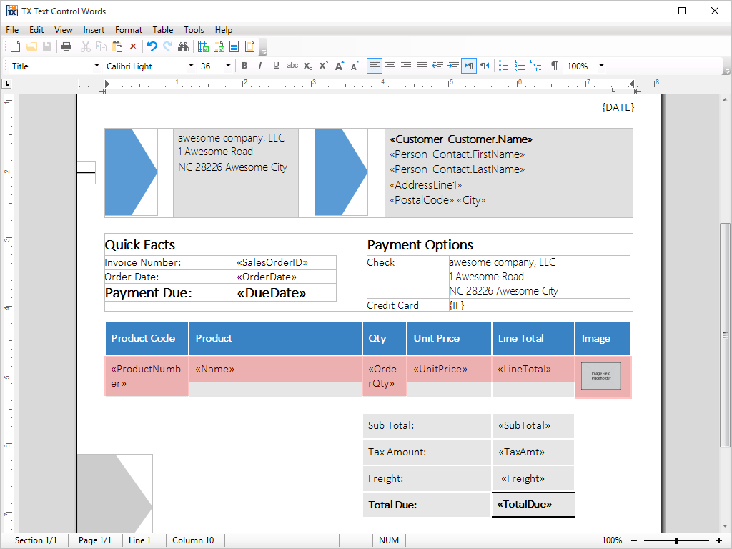 TX Text Control ActiveX Server（英語版）
