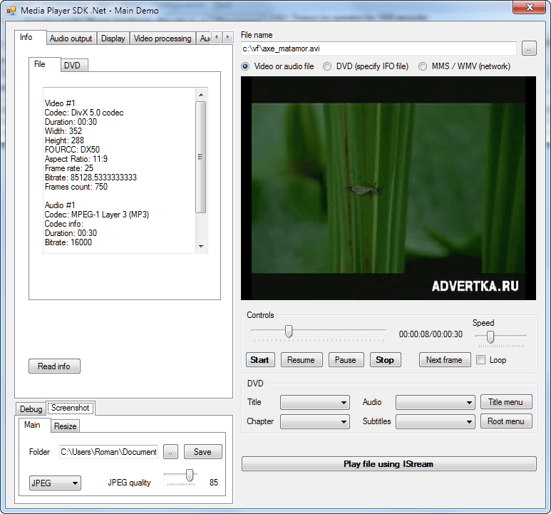 Media Player SDK Delphi