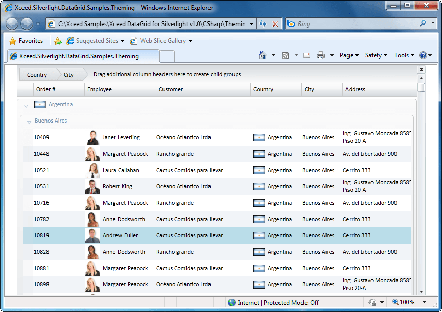 Xceed DataGrid for Silverlight （英語版）
