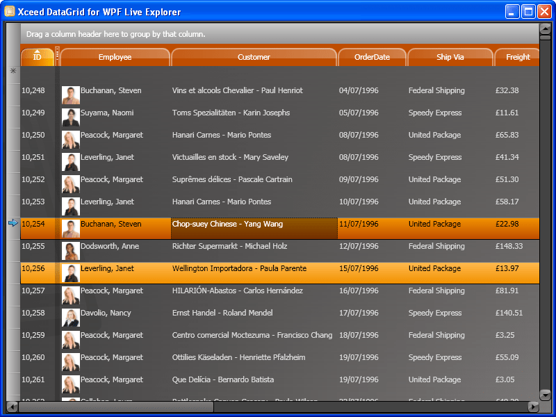 Xceed DataGrid for WPF Standard