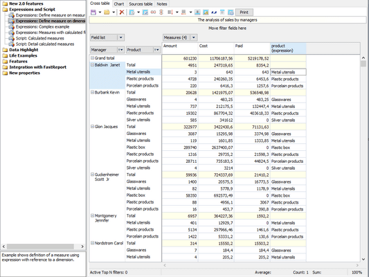 FastReport VCL Analysis