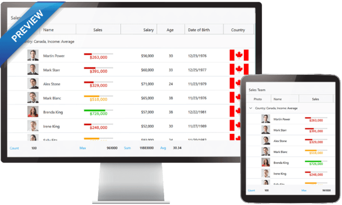 Infragistics Ultimate Ui For Winui Preview Licensing