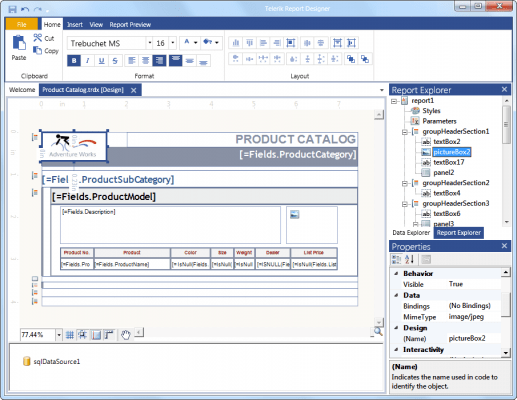 Telerik Reporting Features
