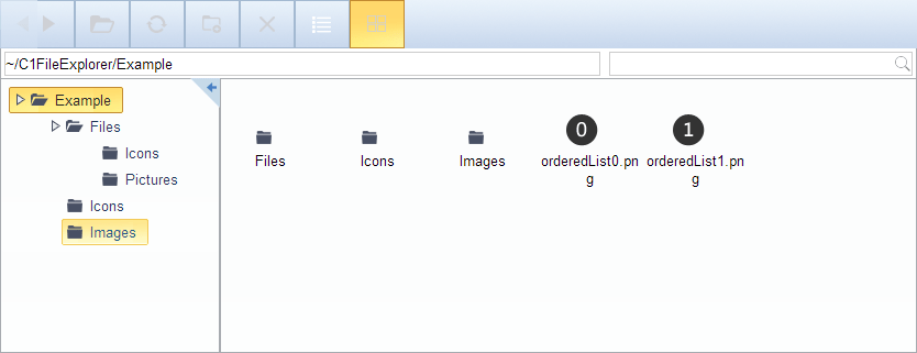 ComponentOne Studio ASP.NET Web Forms Edition Screenshots