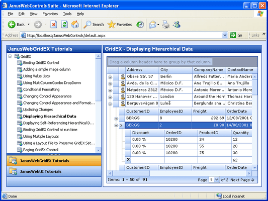 Janus Web ASP.NET Server Controls Suite 스크린 샷 Janus Web ASP.NET Server Controls Suite 스크린 샷